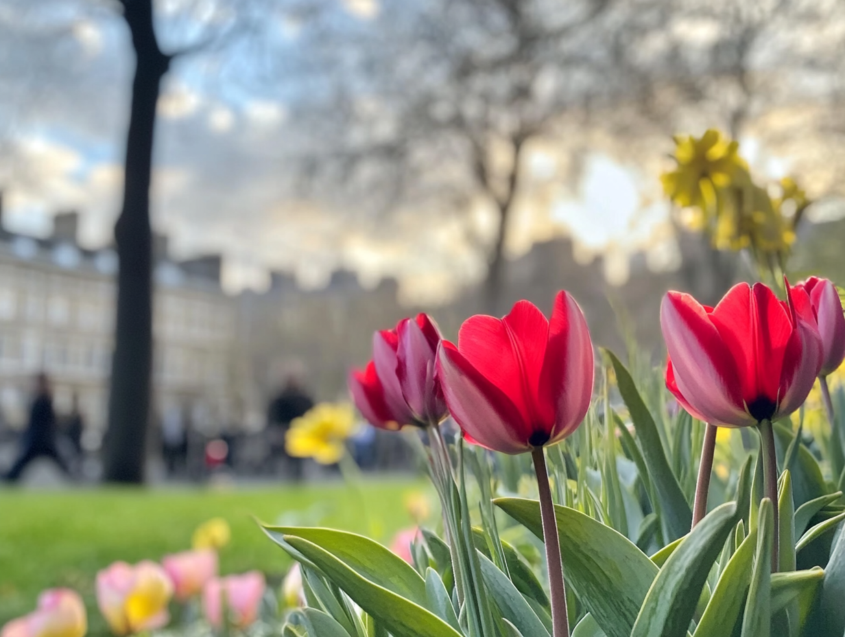 20 Romantic Things To Do in London In February 2025 - Find In London
